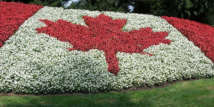 Best 2022 Canada Calendars - CalendarBuy.com